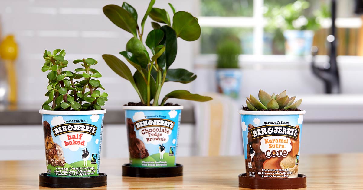 Get Creative With Tubs | Ben & Jerry’s